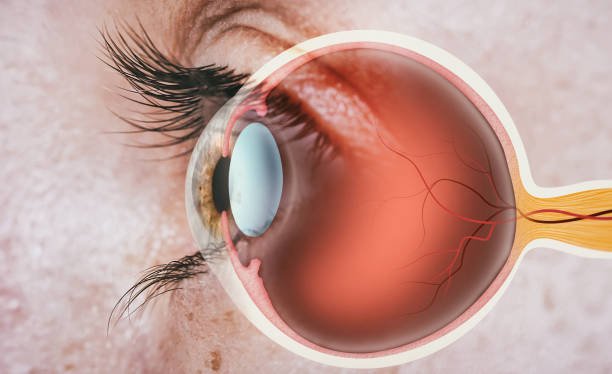 Sravani Eye Hospital - Advanced Eye Care